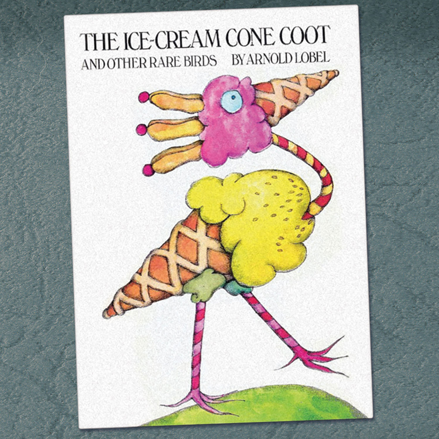 The Ice-Cream Cone Coot – Timothy Young – Author / Illustrator