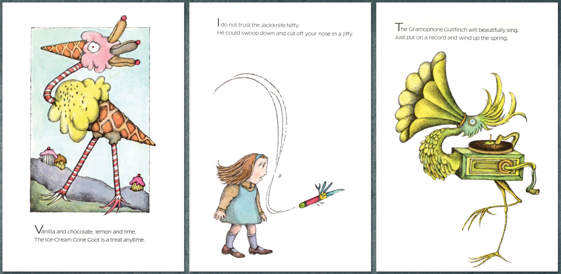 The Ice-Cream Cone Coot – Timothy Young – Author / Illustrator