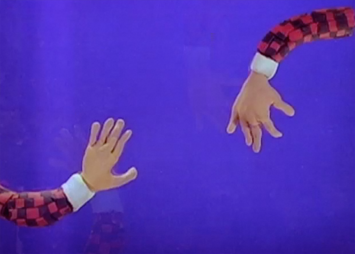 Big Time – Timothy Young – Author / Illustrator